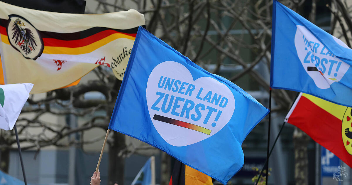 Oh weh, die AfD: Die Geschichte vom Kaninchen und der Schlange | Die ...