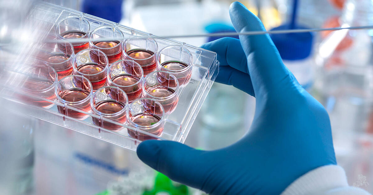 Der letzte Frevel | Die Tagespost