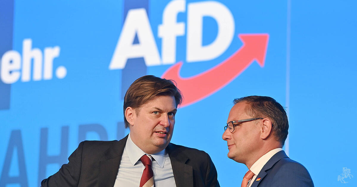 Die AfD ist in Europa weitgehend isoliert | Die Tagespost