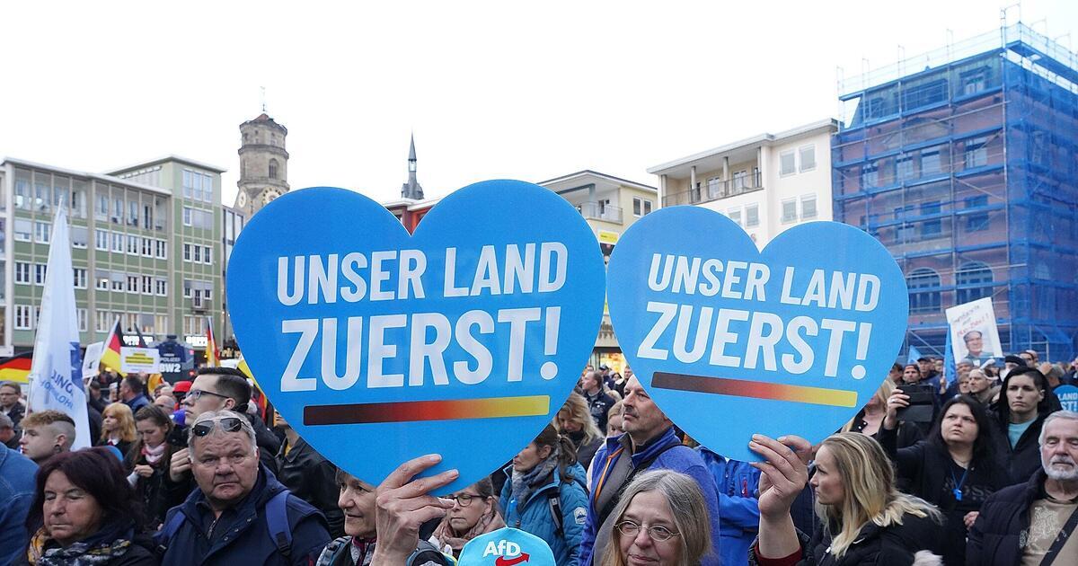 Die AfD ist kein blaues Wunder | Die Tagespost