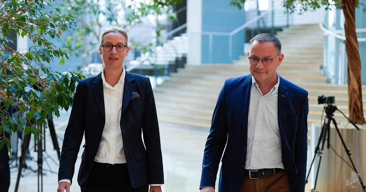 AfD: Ein Urteil ersetzt keine Politik | Die Tagespost