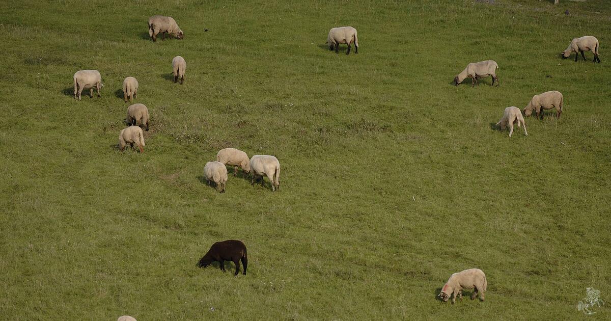 Es lebe der Individualismus! | Die Tagespost